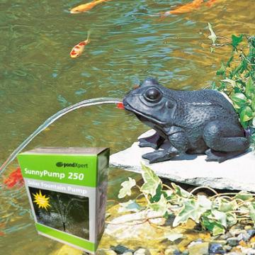 PondXpert Crouching Frog Spitter - Large and SunnyPump 250 : Pondkeeper ...