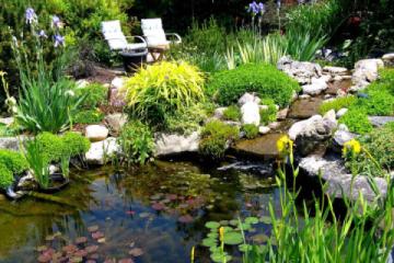 Why isn't my pond clearing? : Pondkeeper - the leading UK pond supplies ...