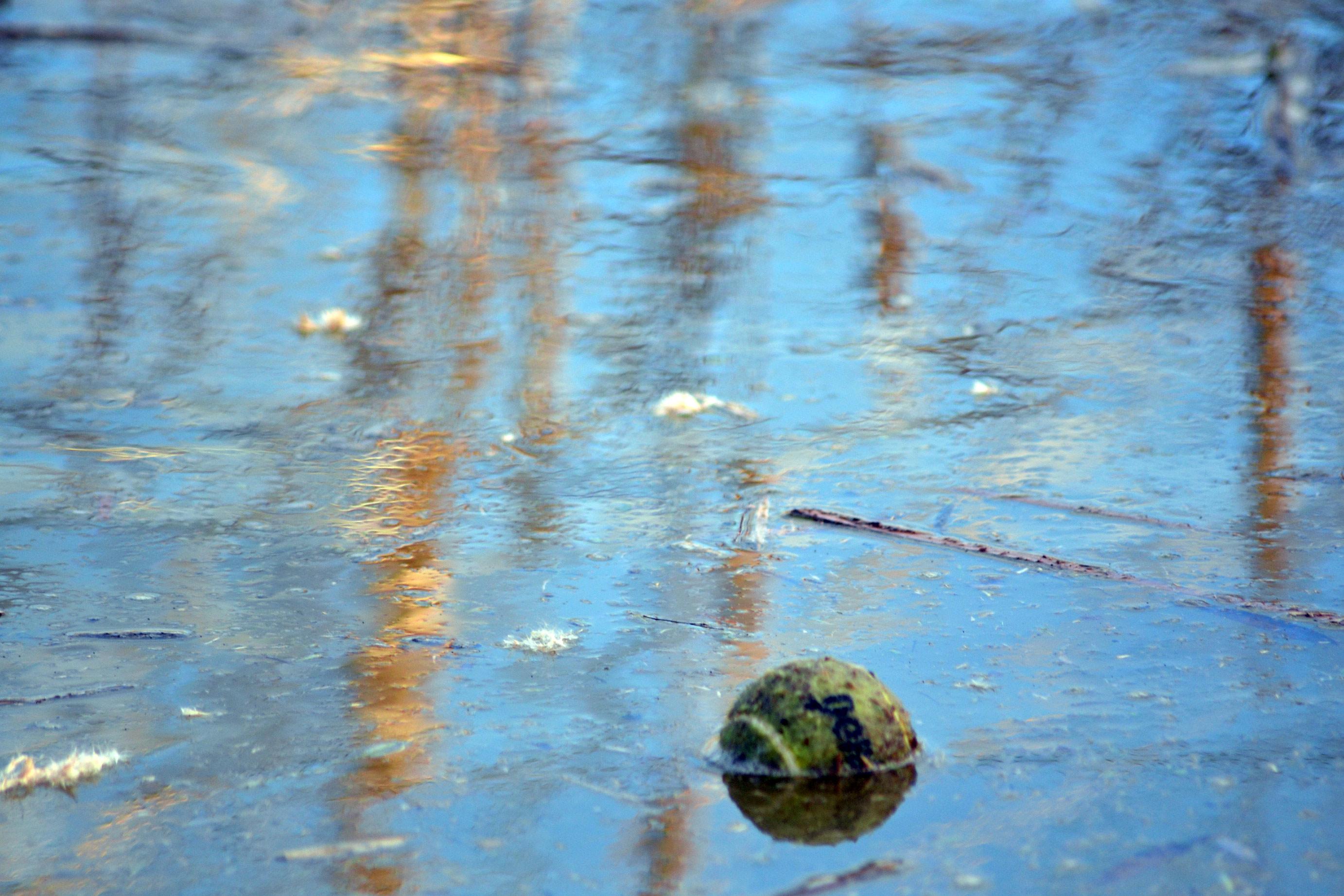 Customer Top Tips Round Up : Pondkeeper is the leading UK pond supplies ...
