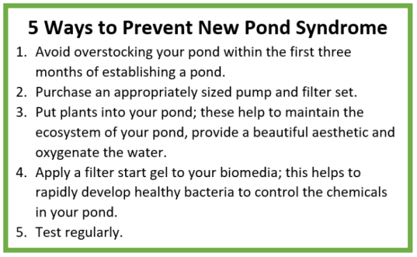 8 Common Pond Mistakes : Pondkeeper is the leading UK pond supplies ...