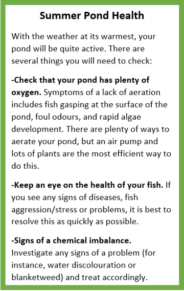 General Pond Information : Pondkeeper is the leading UK pond supplies ...