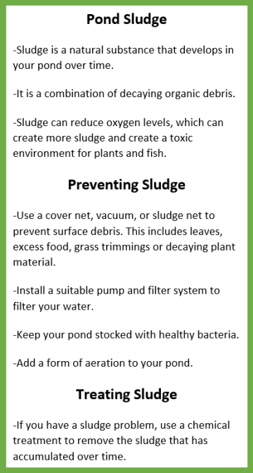 Pond Sludge: How to Prevent and Treat It : Pondkeeper - the leading UK ...