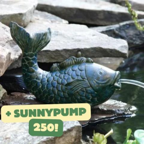 PondXpert Koi Spitter & SunnyPump 250 : Pondkeeper is the leading UK ...