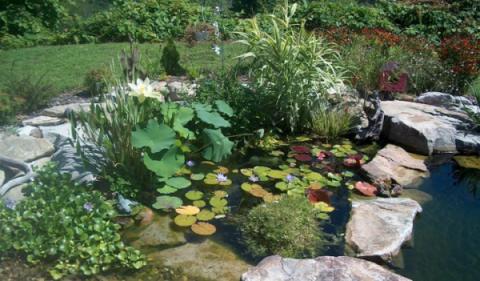 Bog Filters: How to build a Bog Filter : Pondkeeper is the leading UK ...