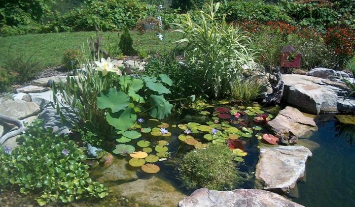 Bog Filters: How to build a Bog Filter : Pondkeeper is the leading UK ...